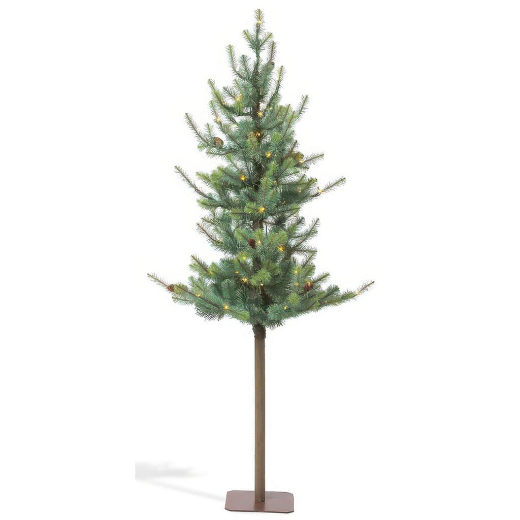 Blue Spruce Alpine Tree 6′ Or 7′ - Christmas